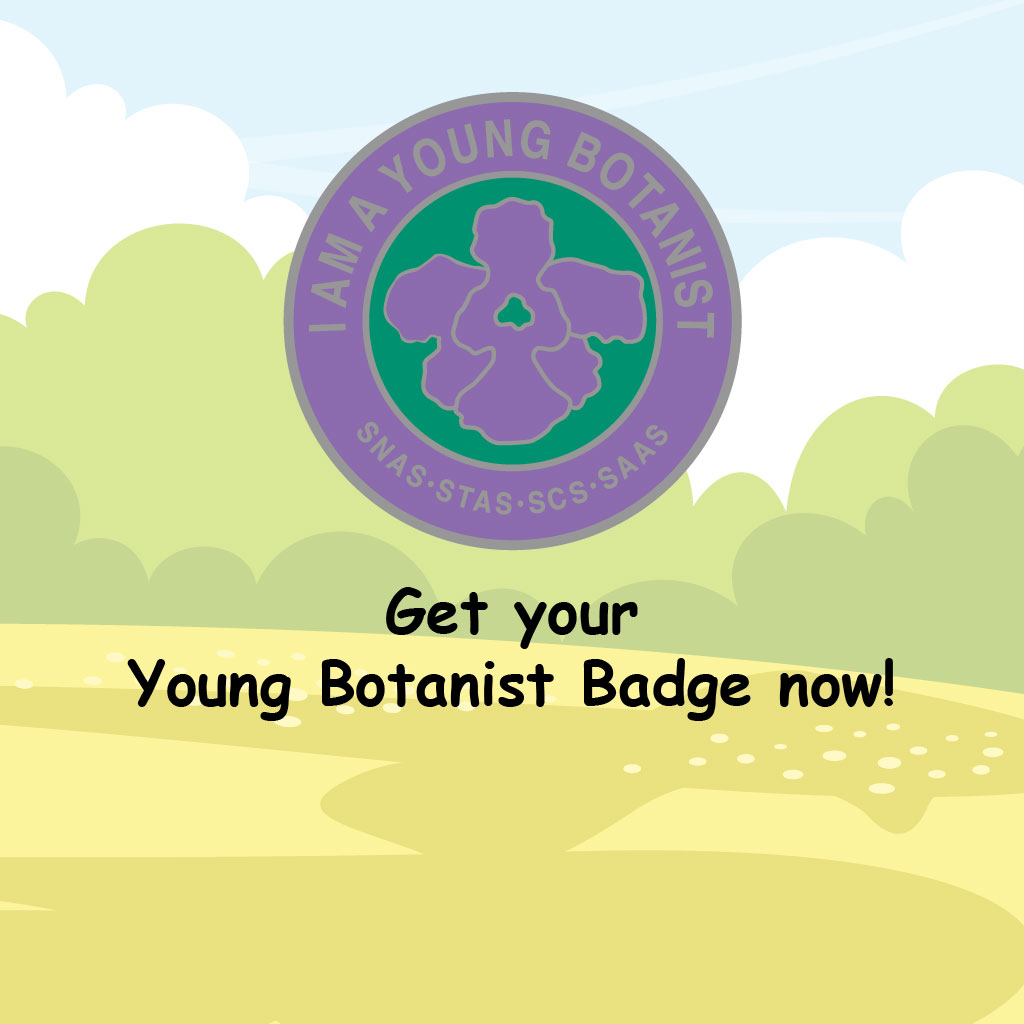 Young Botanist